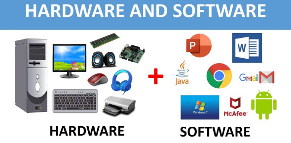 Computer: A Basics Hardware And Software Questions! - Quiz & Trivia